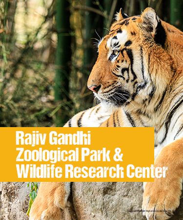 Know about Pune's esteemed zoological park: Visit Today
